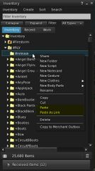User:Jenni Silverpath/RLV Release Folder Setup - Second Life Wiki