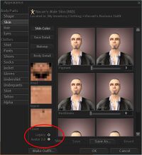 Avatar 2.0 - Second Life Wiki